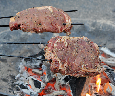 Campfire Steak on a Stick - Girls Can Grill