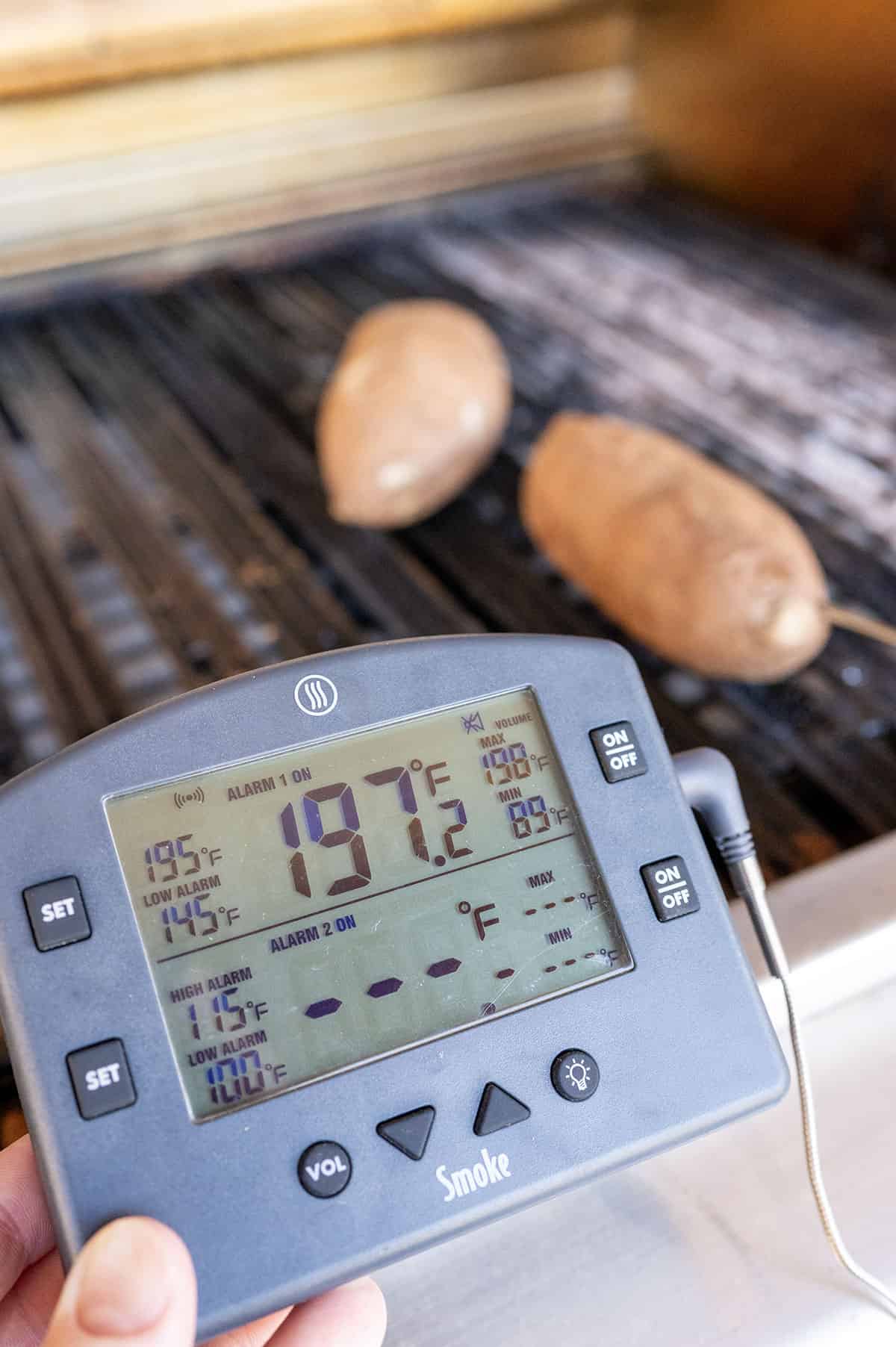 Grilled Sweet Potatoes with Roasted Marshmallows - Girls Can Grill