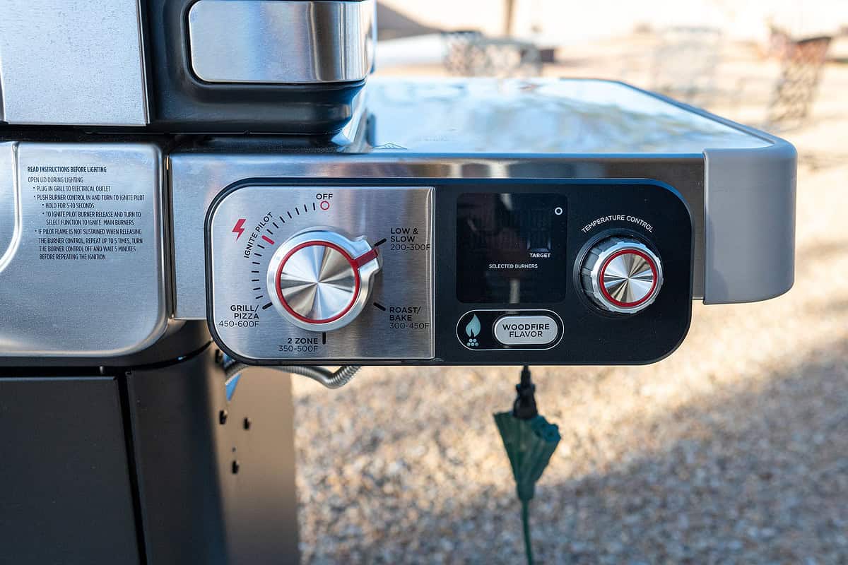 Ninja FlexFlame Review - Girls Can Grill